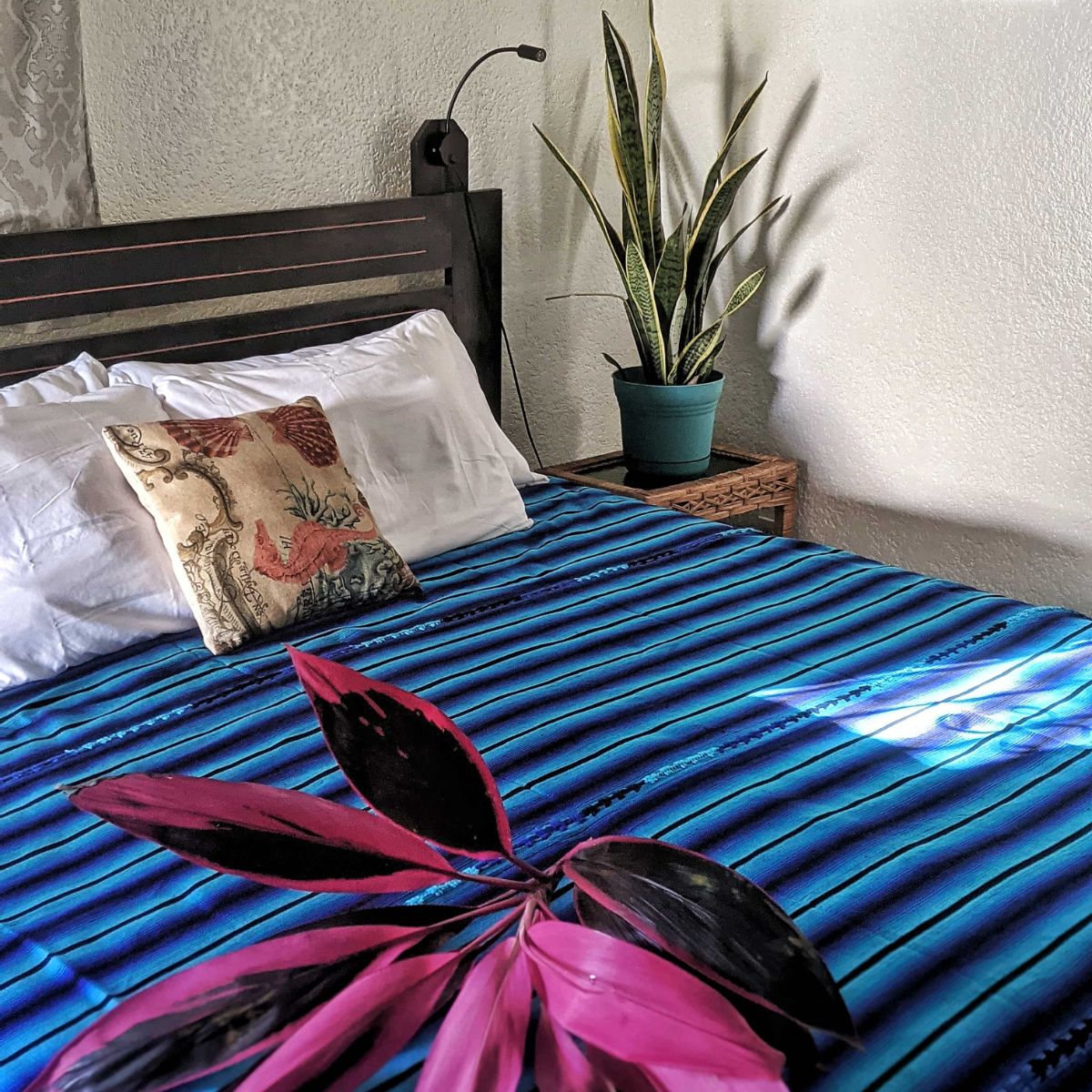 Toucan Suite - Seasideinn Roatan